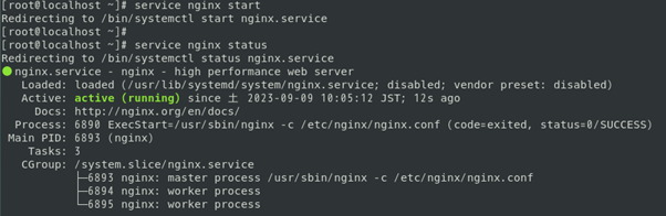CentOS7にNginxをインストールする方法を解説！ | ミライサーバーのススメ