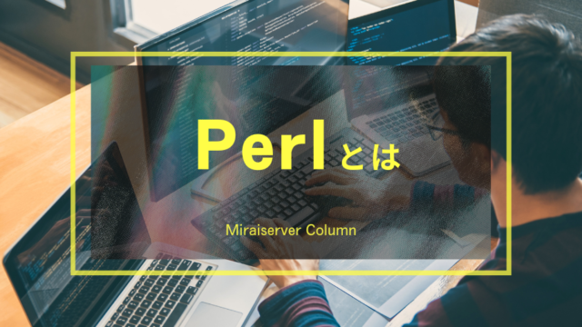 Perl（パール）とは。老舗プログラム言語のPerlを知って、サーバーに関するスキルも得よう！ | ミライサーバーのススメ